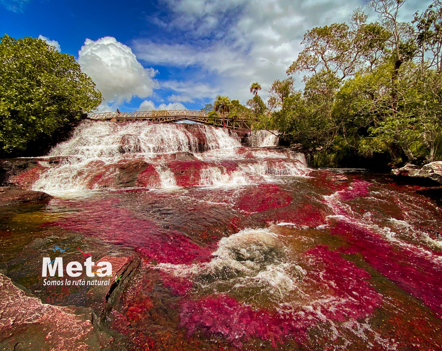 Caño Cristales, denominado ‘El río de los siete colores’, abrió sus ...