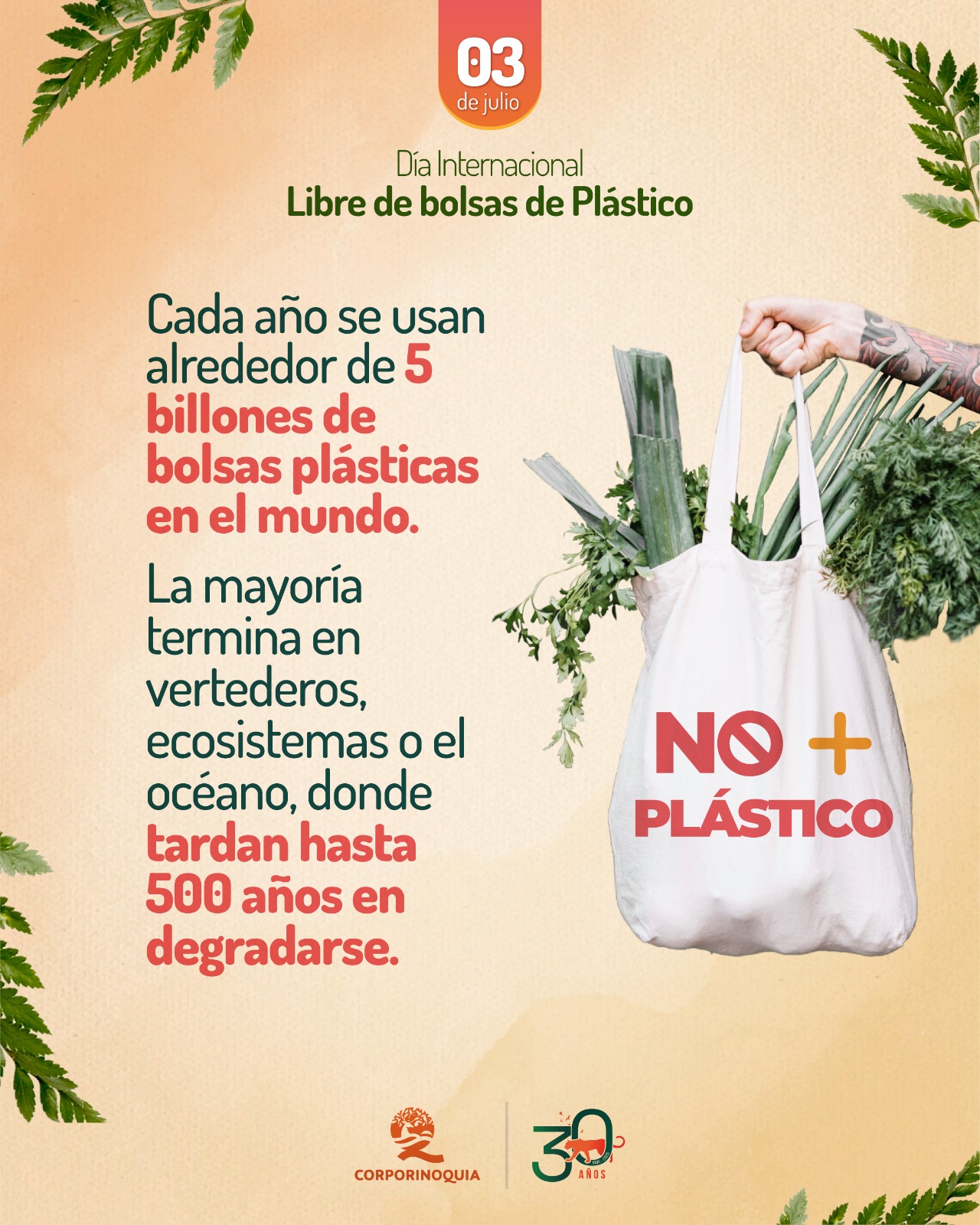 El Día Mundial Sin Plástico lo celebramos diciendo: sin plástico por ...